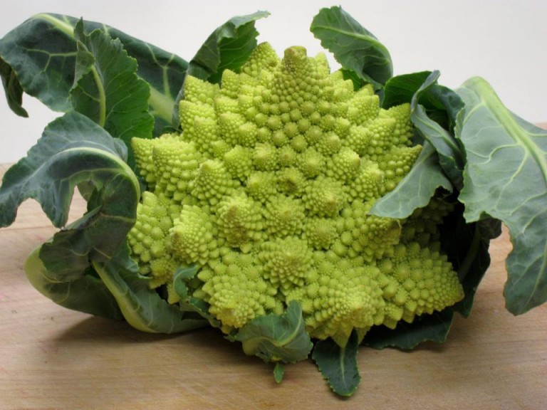 11 Of The World's Strangest Vegetables | DailyForest