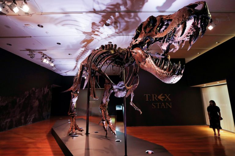 We Now Know The Total Number Of T-Rex Dinosaurs That Walked The Planet ...