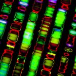 For The First Time In History, Entire Human Genome Has Been Sequenced ...